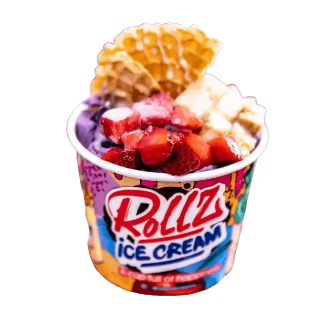 Rolled Ice Cream- Canada's Best Desserts Shop Near Me